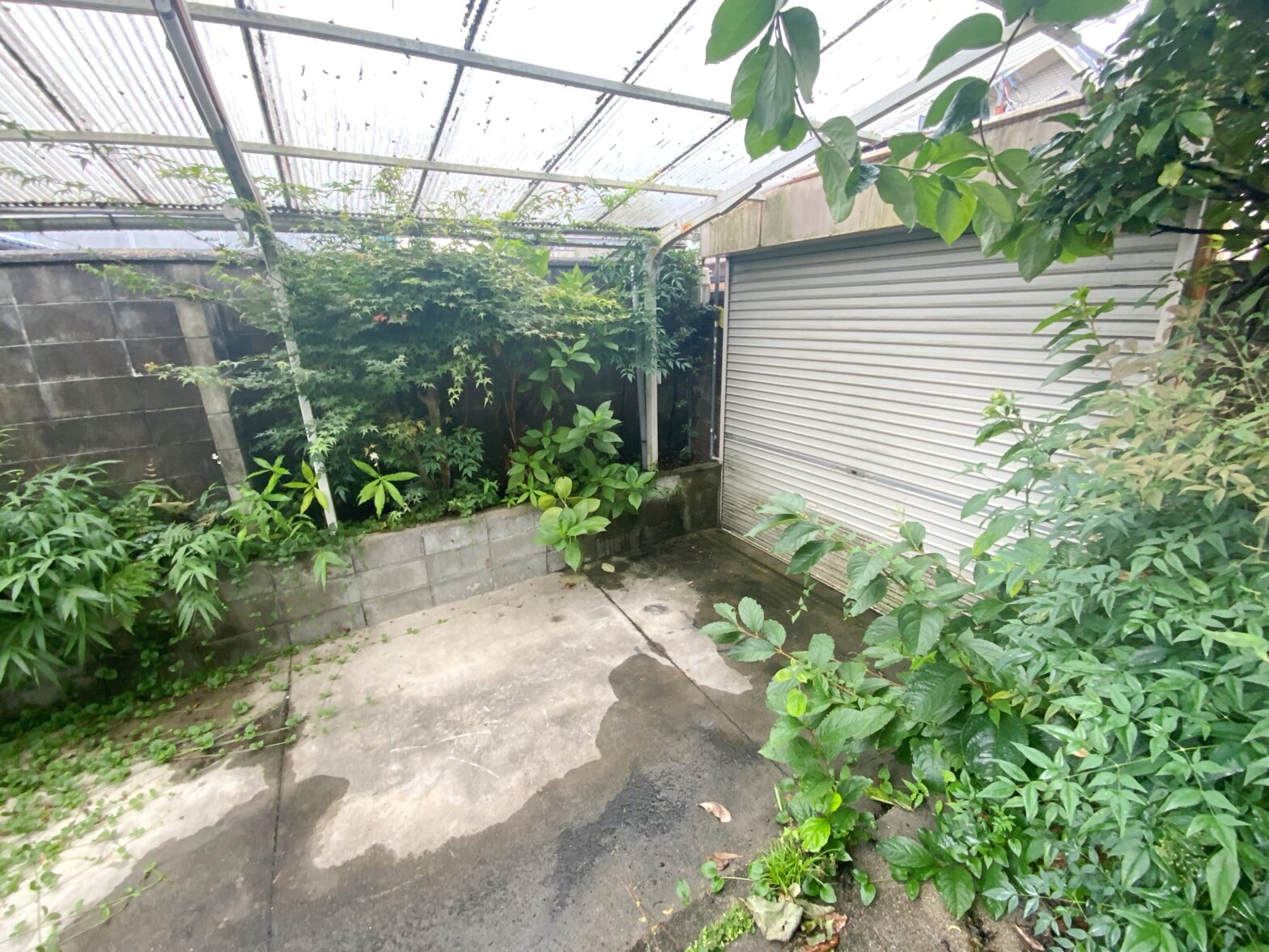 【下鴨・松ヶ崎】デカすぎる8DK古民家を攻略せよ！ ルームシェア可。 - 京都×楽しく読める物件紹介 ShuJu不動産！