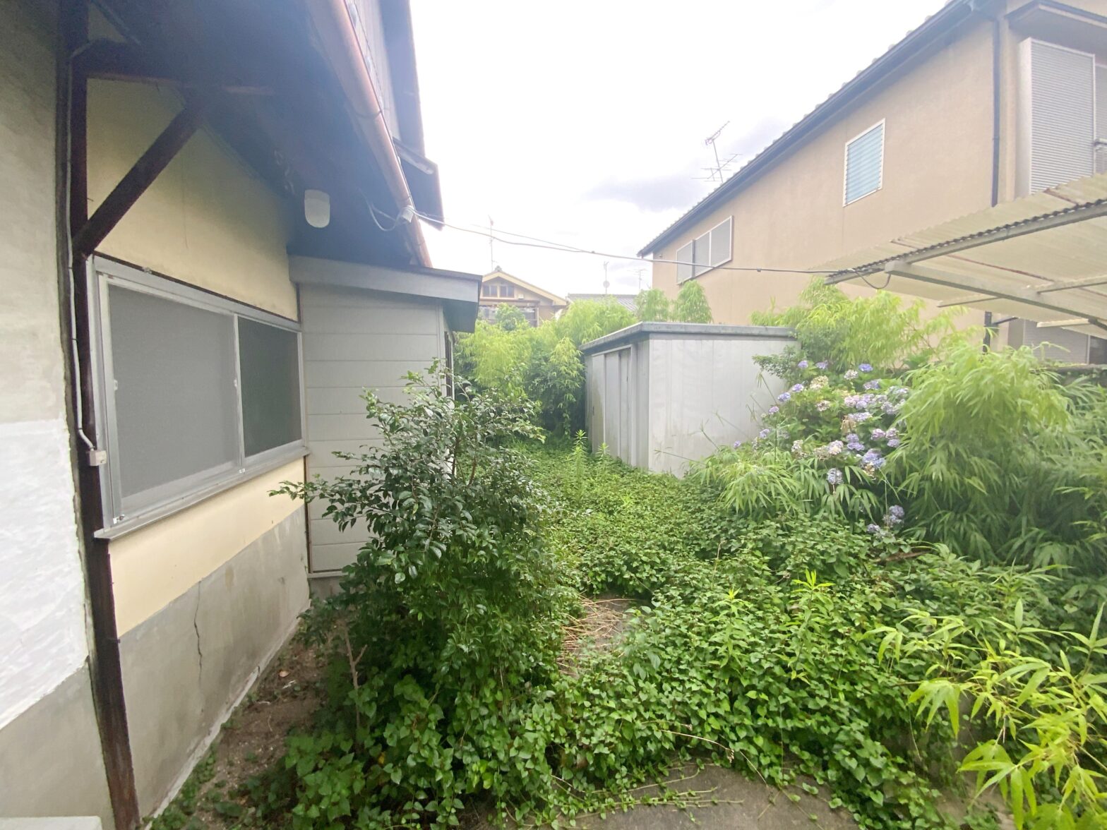 【下鴨・松ヶ崎】デカすぎる8DK古民家を攻略せよ！ ルームシェア可。 - 京都×楽しく読める物件紹介 ShuJu不動産！