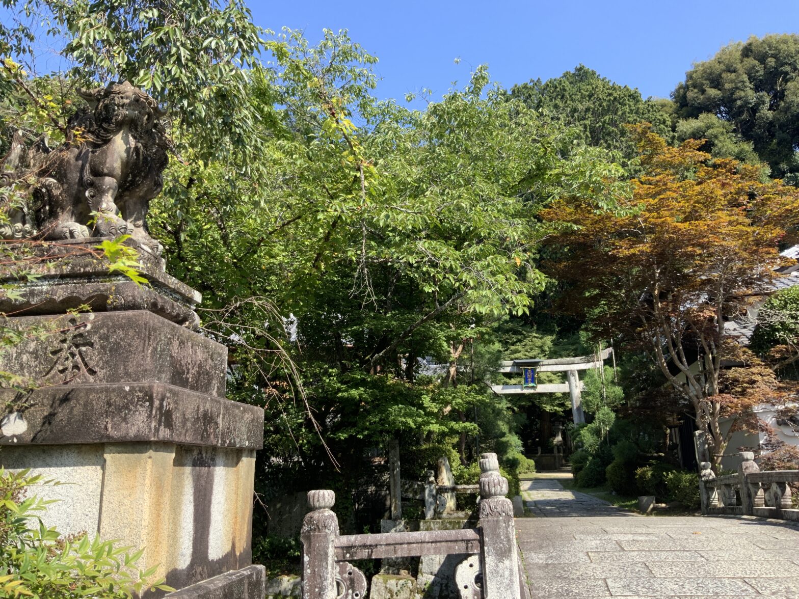 【カップルにオススメ】川の音が響く北白川一軒家3DK・家賃7.5万円 - 京都×楽しく読める物件紹介 ShuJu不動産！