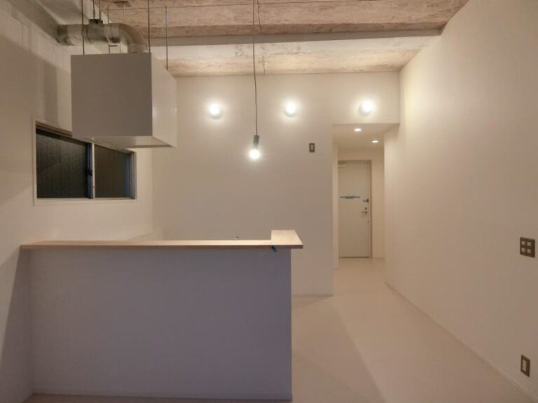 【地面師たち】辻本拓海に住ませたい部屋No1！西大路のペット可、事務所SOHO利用も可能な1LDK。