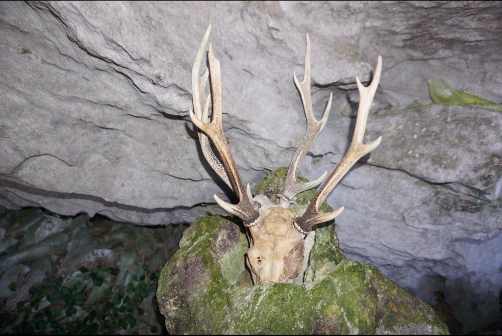 新大学生、新社会人に嬉しい「家賃スライド」って何？相談できる物件をピックアップ🏠